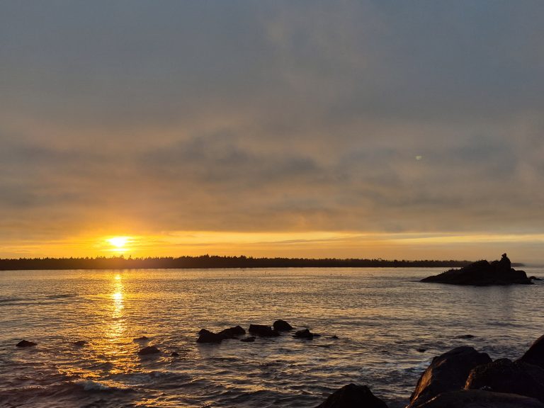 Duck! Sturgeon! Tofu! – Bay City Kitchen